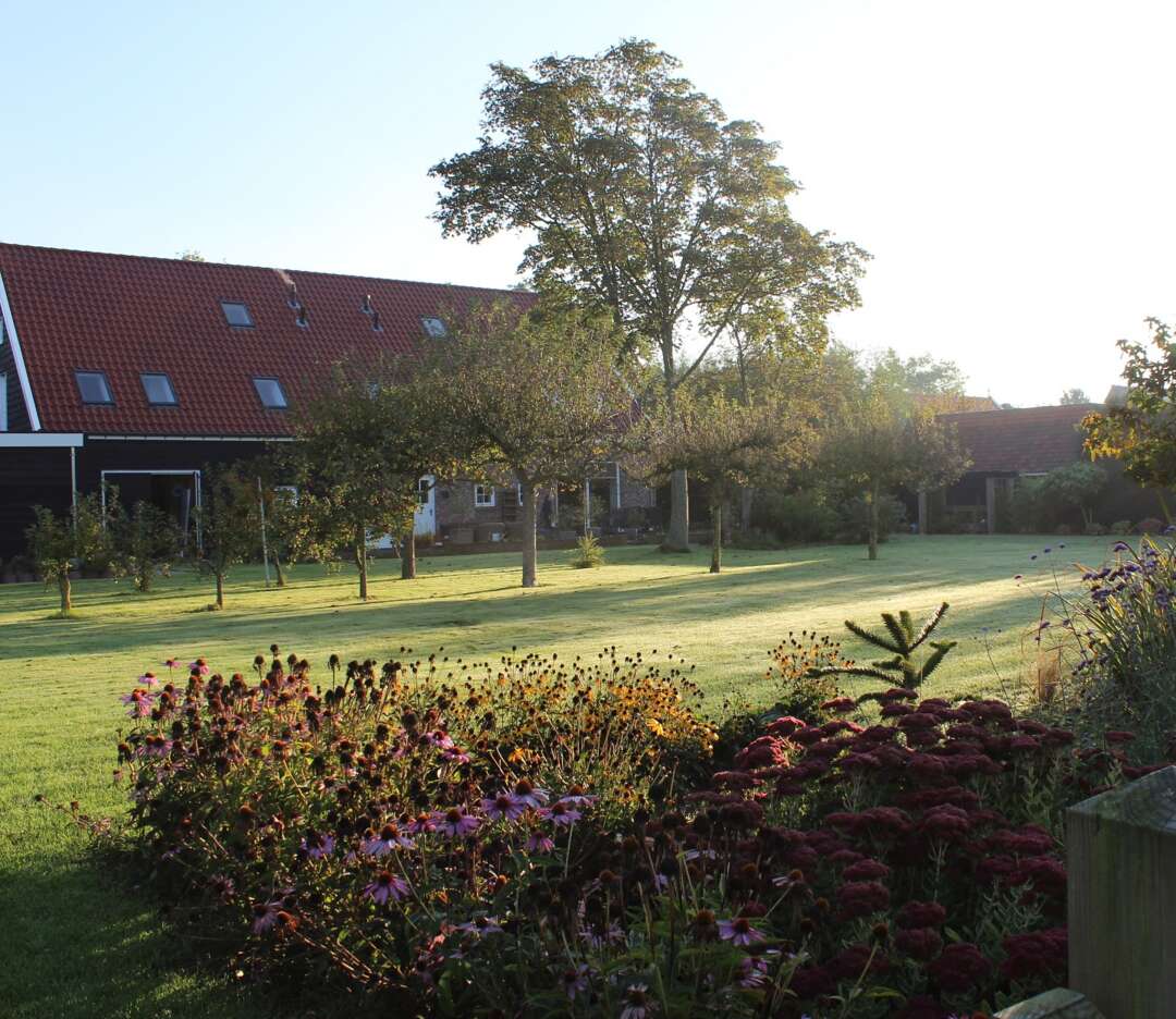 Home | Overnachten Noord Beveland | B&B Iets Zeeuws Kats