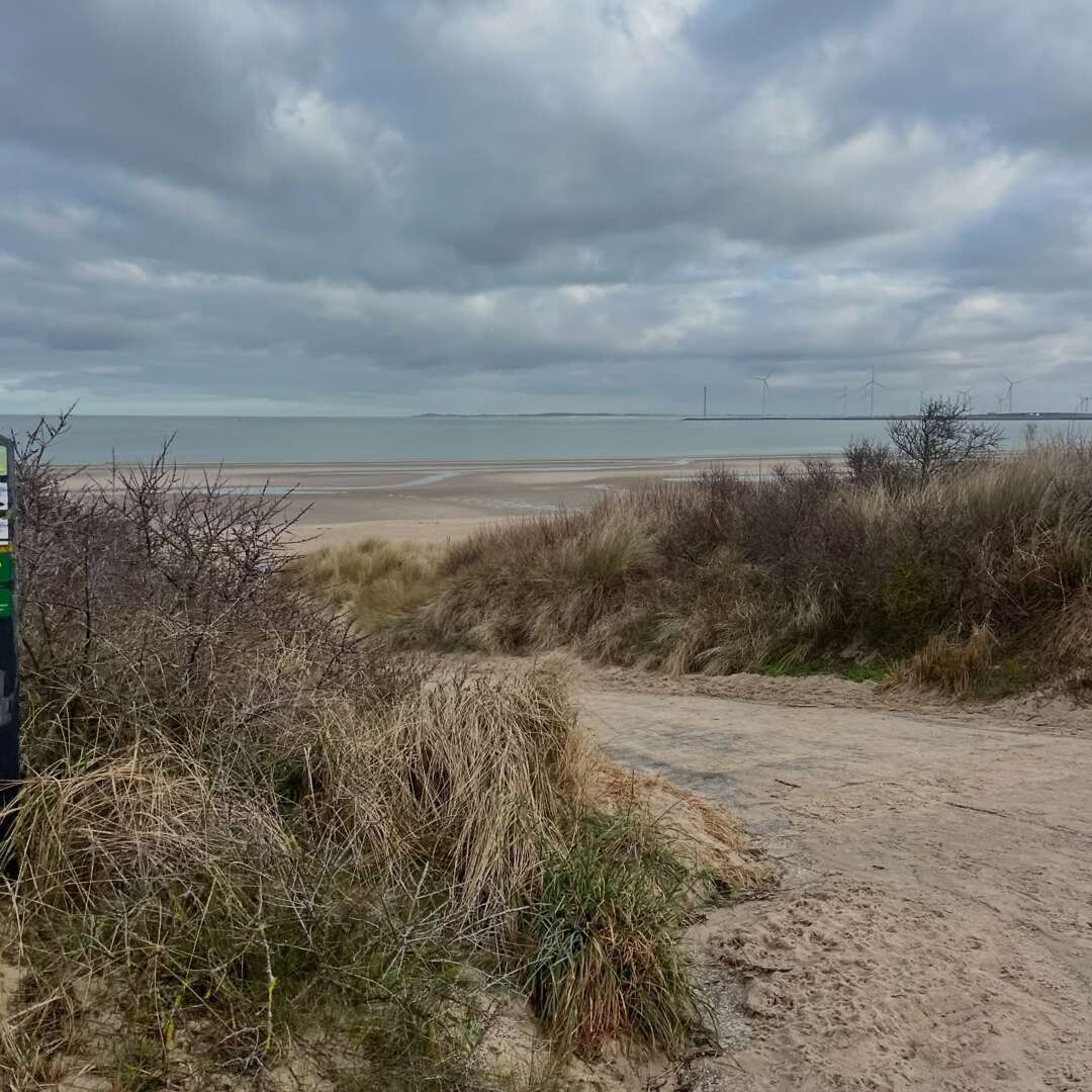Home | Overnachten Noord Beveland | B&B Iets Zeeuws Kats